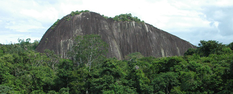 Natuurlijk erfgoed - Youth Heritage in Young Hands Suriname